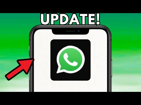 How to Update WhatsApp on iPhone/Android