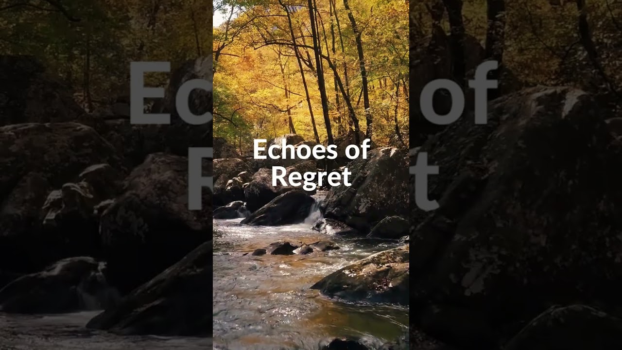 Story Echoes of Regret