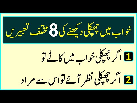 8 Different Interpretations of Seeing a Lizard in a Dream | Black Magic | Hafiz Abdul Rahman Wasil