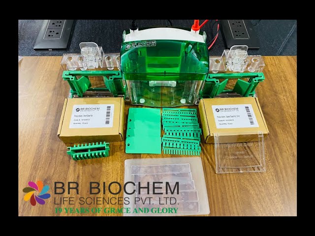 Laboratory Equipments - D 500 Homogenizers Manufacturer from New Delhi