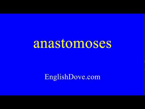 How to pronounce anastomoses in American English.