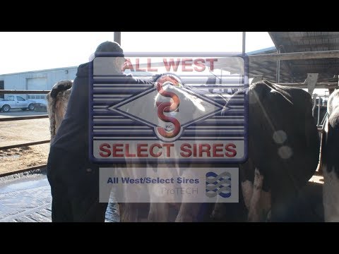 All West ProTECH Training Program - Harry Anderson