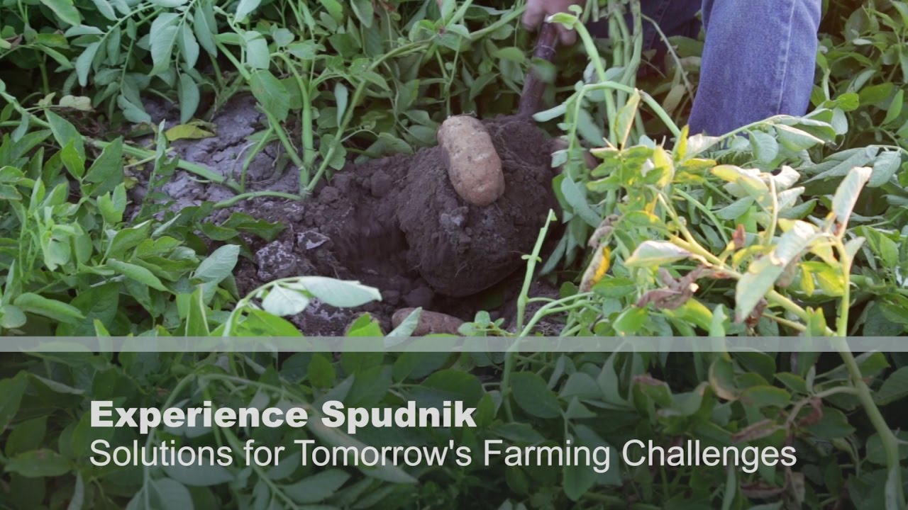 Experience Spudnik
