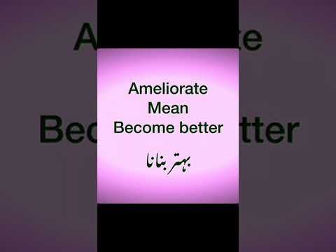 vocabulary & pronunciation Ameliorate