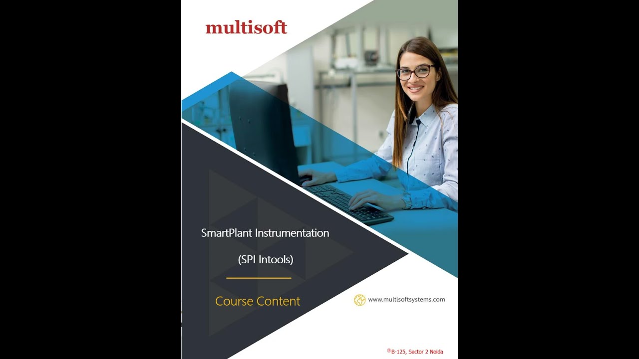 SmartPlant Instrumentation (SPI) Intools Overview |  Multisoft Systems