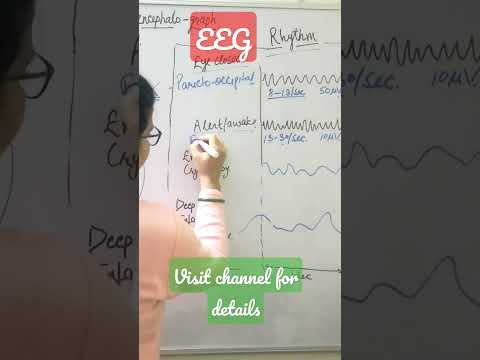 EEG nervous system
