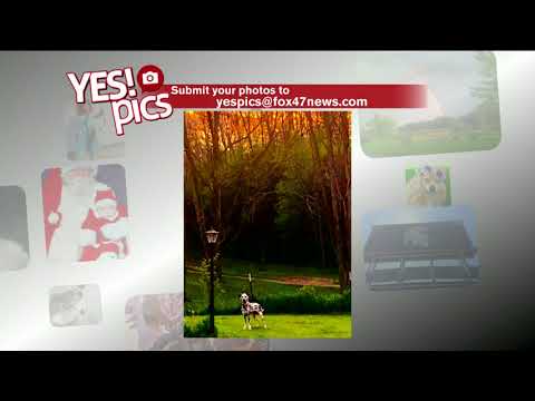 Yes! Pics: 5/23/18