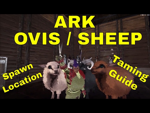 Steam Community :: Video :: ARK Ovis (Sheep) taming guide - How to find ...