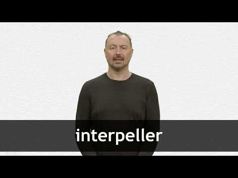 English Translation of “INTERPELLER” | Collins French-English Dictionary
