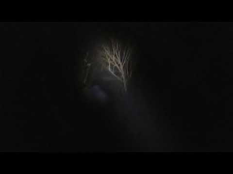 Impromptu Review, Guidesman 3200 Lumens Flashlight
