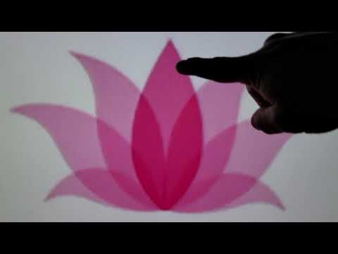 lotus flower meaning, the true meaning of the lotus flower symbol and graphic. Nov 13, 2021.