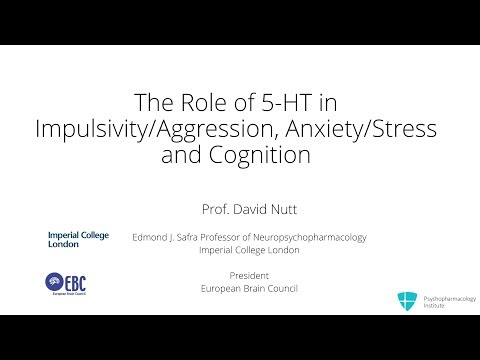 Serotonin's Role: Impulsivity, Aggression, Anxiety, and Cognition