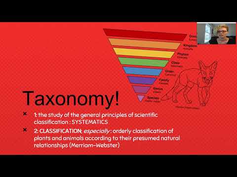 ANSC 207 Week 1, Video 1: Intro and taxonomy