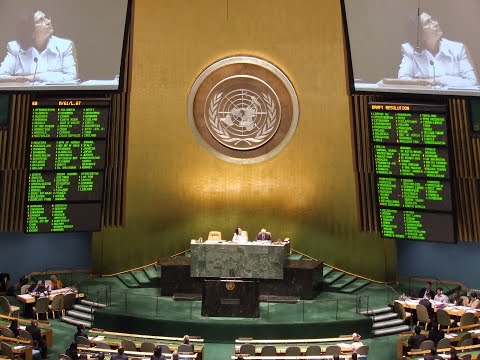 Jennifer Preston - How the UN Declaration on the Rights of Indigenous Peoples came to be