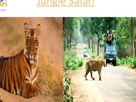 Hari Om Tours and Travels