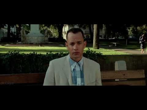 Box of Chocolates Scene - Forrest Gump (1994)