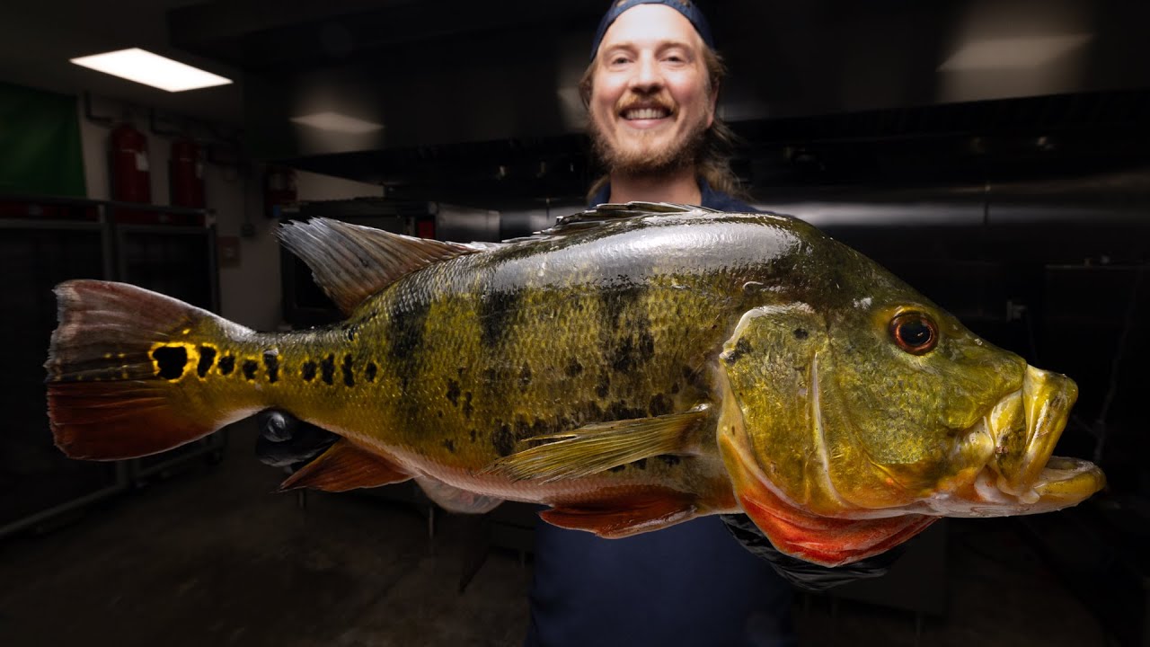 The Truth About Peacock Bass