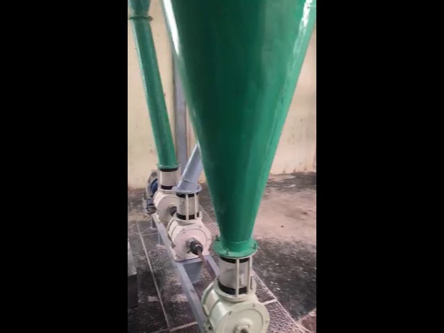 Maida Flour Mill Plant - Maize Flour Mill Plant Manufacturer from Gondal