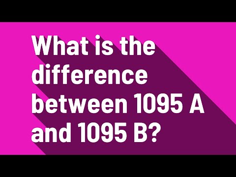 What is the difference between 1095 A and 1095 B?