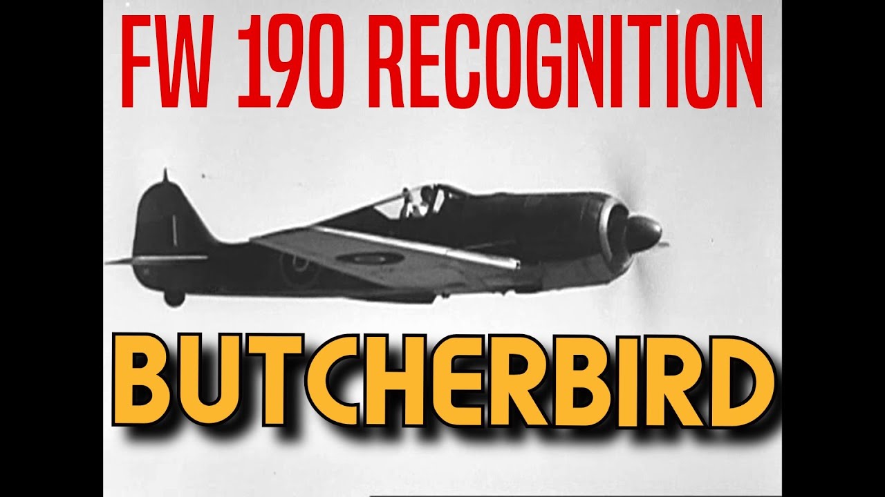 Fw 190 Focke Wulf fighter Luftwaffe Recognition & Training film National Archives NARA Airailimages
