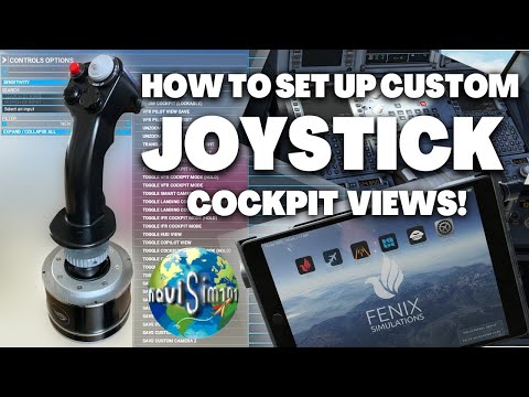 How to Set Up Custom Cockpit Camera Views - Aircraft - Microsoft Flight Simulator Forums