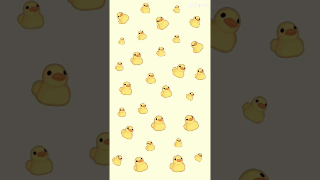 Duck wallpapers 4 y’all #fyp #duck #wallpaper
