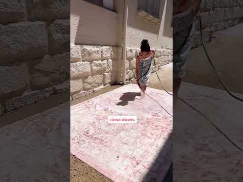 The Best Way To Clean A Giant Rug
