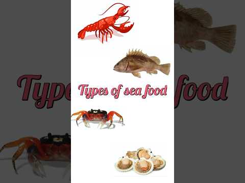 Types of Seafood #vocabulary
