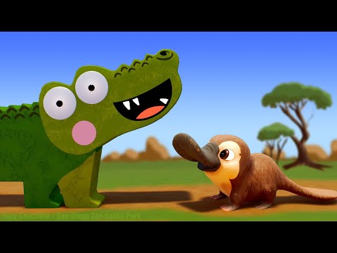Silly Crocodile Learns About Platypus | San Diego Zoo Safari Park | Stories For Kids