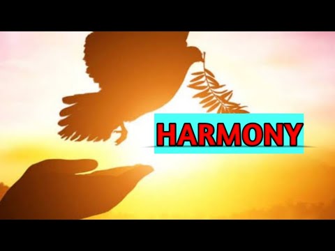 #Vocabulary #Harmony #briefit •Vocabulary with meaning and sentence •Improve english•English speakig