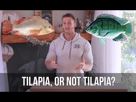 Is Tilapia Good For You? 3 Fish to Eat instead of Tilapia- Thomas DeLauer