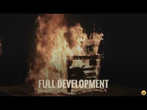 STAGES OF FIRE