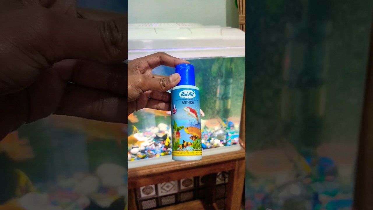 #aquarium cleaning 🤣🤣😀😁☺️🤠👍