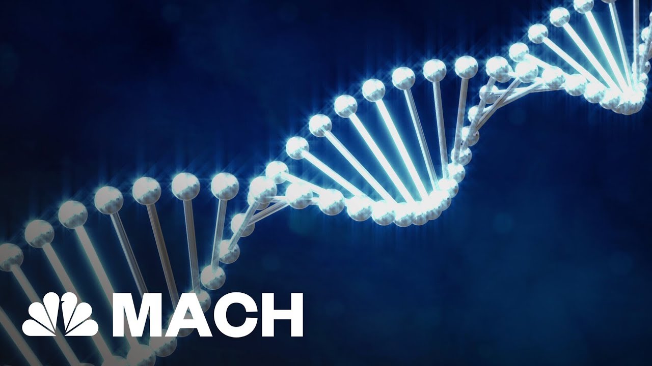 First Human Embryo Editing Experiment In U.S.; Possible Future ‘Designer Babies’? | Mach | NBC News