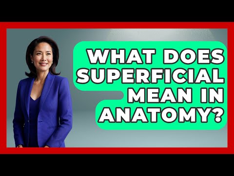 What Does Superficial Mean In Anatomy? - Biology For Everyone