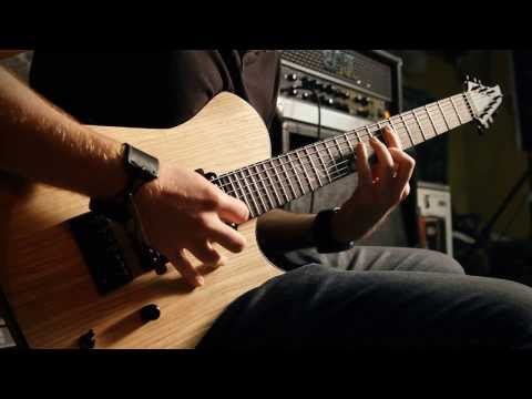 Frame /// 7 String T-Style Guitar 7 string single cut 2013 | Reverb