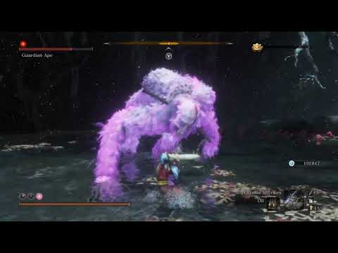 Steam Community :: Video :: Monkey Dee Luffy VS Estrogen Gorilla