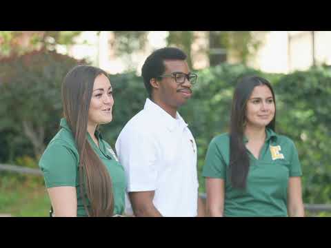 6: The Successful Student
