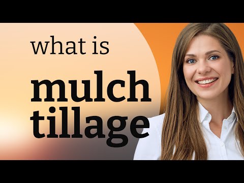 Understanding "Mulch Tillage": A Guide for English Learners