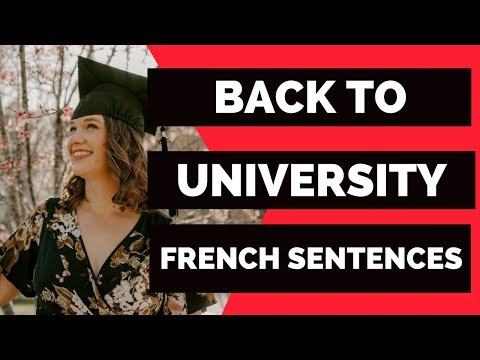 French Vocabulary for University 🎓 What is it like in a French university?