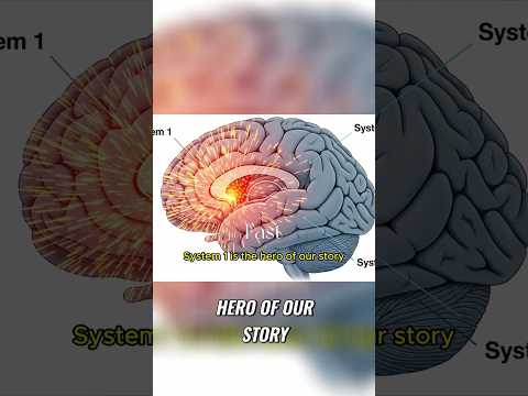 Gut Feelings vs. Logic: How Your Brain REALLY Works