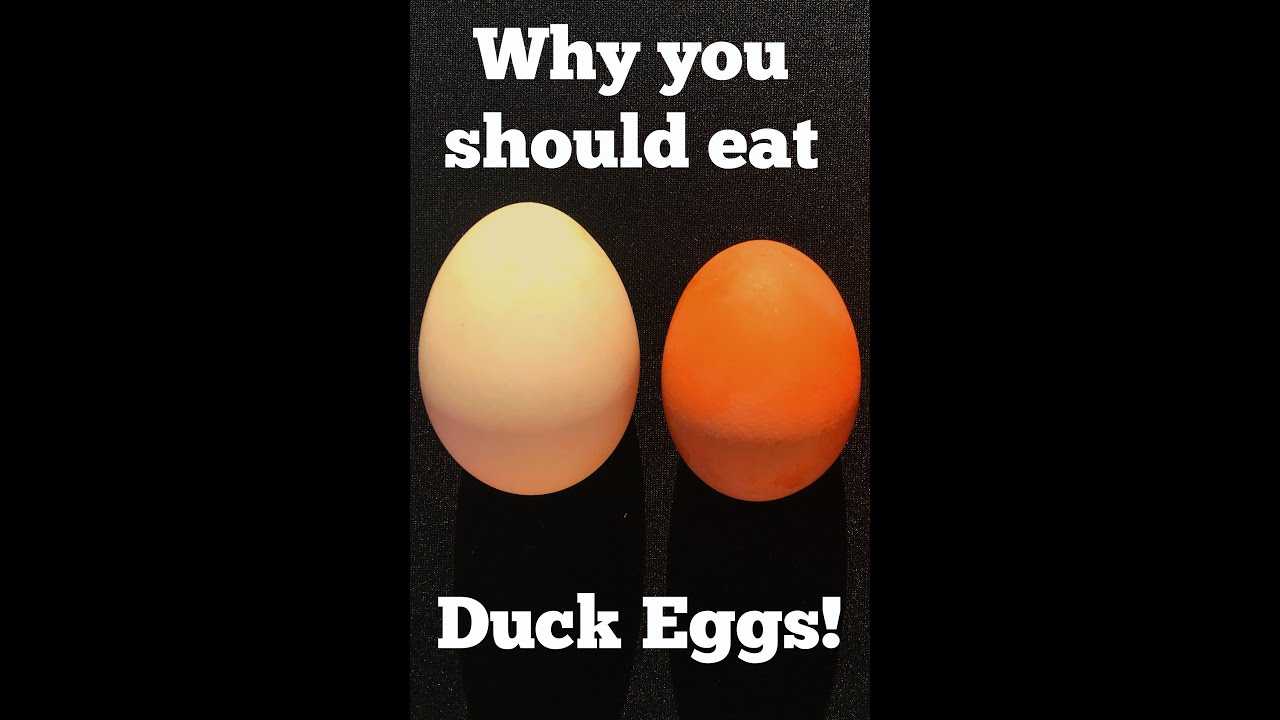 Why You Should Eat Duck Over Chicken Eggs