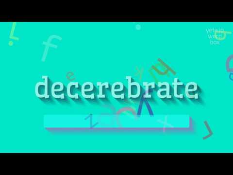 How to say "decerebrate"! (High Quality Voices)