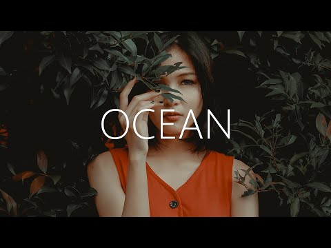 Lost Wolves & glasscat - Ocean (Lyrics)