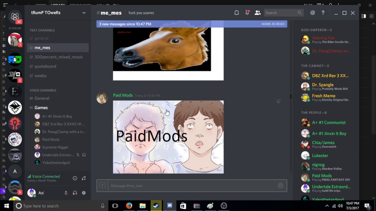 FAGGOT MEME STEALER EXPOSED