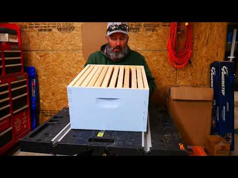 Beehive Removal from Abandoned Residence