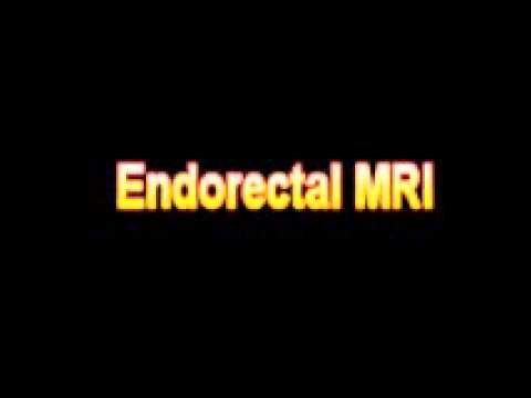 What Is The Definition Of Endorectal MRI - Medical Dictionary Free Online