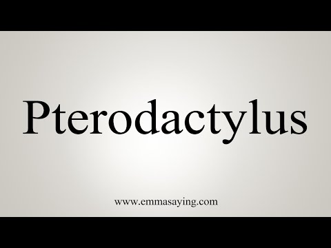 How To Say Pterodactylus