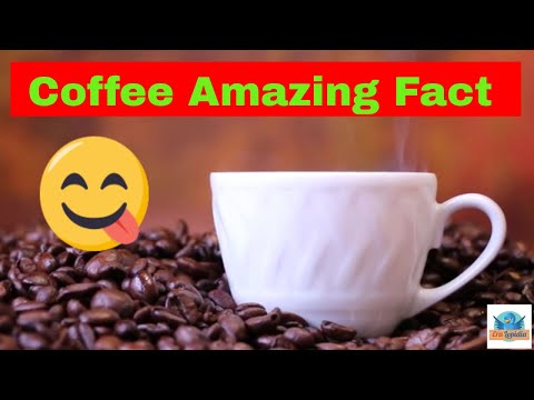 Coffee Amazing Fact in Hindi