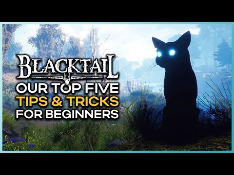 Steam Community :: Video :: You Need These Top 5 Tips & Tricks For ...